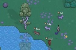 Random NPCs | Cattails Game Wiki | Fandom