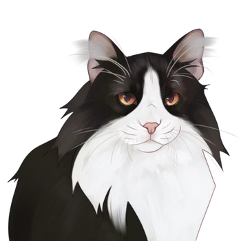 Coco/Wildwood Story | Cattails Game Wiki | Fandom