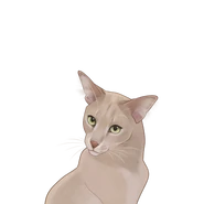 Jag/Wildwood Story | Cattails Game Wiki | Fandom