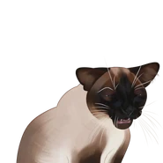 Rosemary | Cattails Game Wiki | Fandom