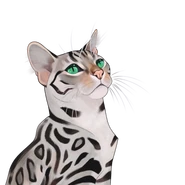 Phantom | Cattails Game Wiki | Fandom