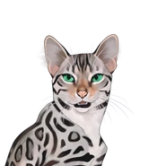 Phantom | Cattails Game Wiki | Fandom