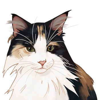 Elli/Wildwood Story | Cattails Game Wiki | Fandom