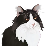 Coco/Wildwood Story | Cattails Game Wiki | Fandom