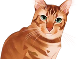 Category:Cats (Wildwood Story) | Cattails Game Wiki | Fandom