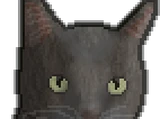 Category:Custom Cats | Cattails Game Wiki | Fandom