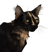 Buttercup | Cattails Game Wiki | Fandom