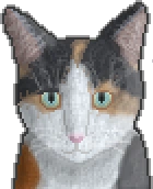 Elli | Cattails Game Wiki | Fandom