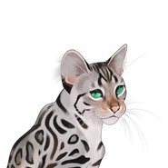 Phantom | Cattails Game Wiki | Fandom