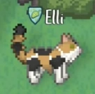 Elli/Wildwood Story | Cattails Game Wiki | Fandom
