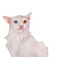 Fliss | Cattails Game Wiki | Fandom
