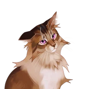 Zephyr | Cattails Game Wiki | Fandom