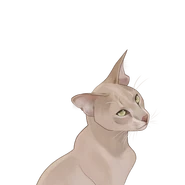 Jag/Wildwood Story | Cattails Game Wiki | Fandom