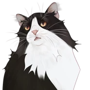 Coco/Wildwood Story | Cattails Game Wiki | Fandom