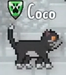 Coco/Wildwood Story | Cattails Game Wiki | Fandom