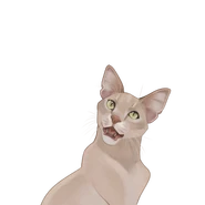 Jag/Wildwood Story | Cattails Game Wiki | Fandom