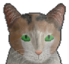 Робин | CattailsRu вики | Fandom