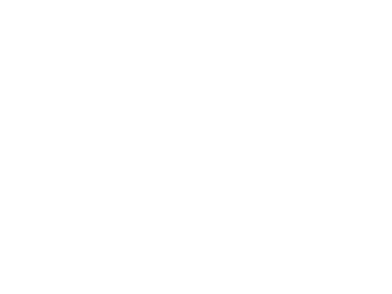 Catto Boi Forever | Catto Boi Wiki | Fandom