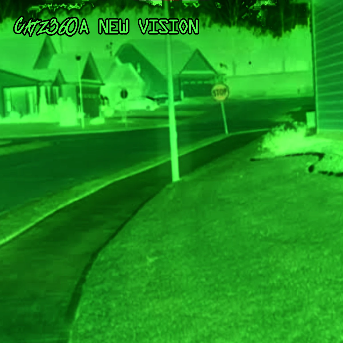 A New Vision | Catz360 Wiki | Fandom