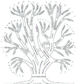 Indo-European Homeland | Caucasus Wiki | Fandom