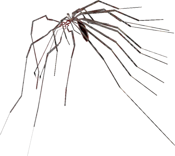 TORMENTOR | Cave Horror Project Wiki | Fandom