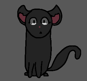 Cave of Shadows (Book) | Cave of Shadows Warrior Cats Wiki | Fandom