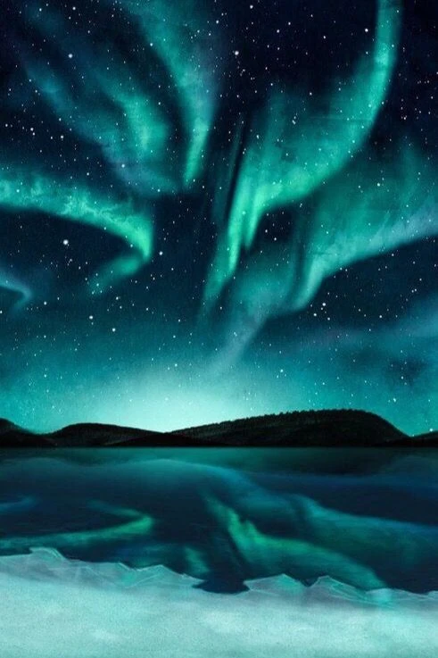 Aesentia Borealis | Cavea Nocturna Wiki | Fandom