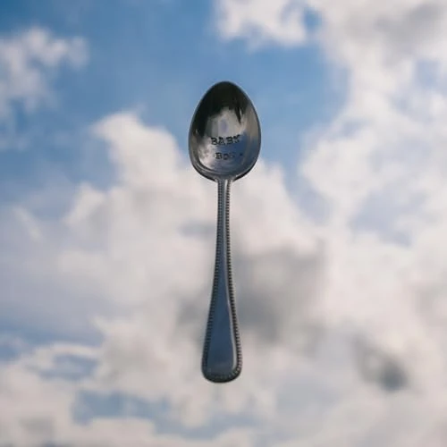 Baby Spoon | Cavetown Wiki | Fandom