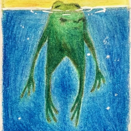 Frog | Cavetown Wiki | Fandom