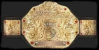 World Heavyweight Championship (WEDF) | CAW Wrestling Network Wiki | Fandom