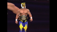 Tiger Kid | CAW-World of Wrestling Wiki | Fandom