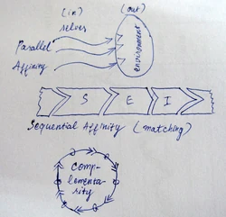 2015.03.11.Parallel/Sequential Affinity, Unconscious/Conscious Self ...