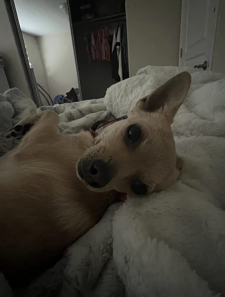 Gay thread 🏳️‍🌈 | Fandom