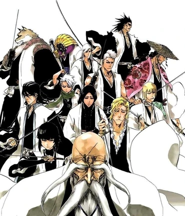 Gotei 13 vs Organization XIII, Who Wins? | Fandom