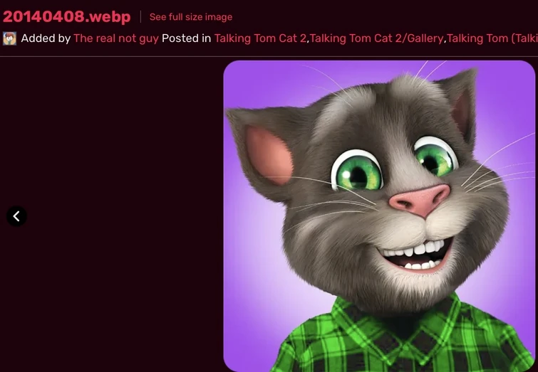 I have questions about the Talking Tom Cat 2 icons. | Fandom