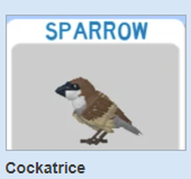 Discuss Everything About Feather Family Wiki | Fandom