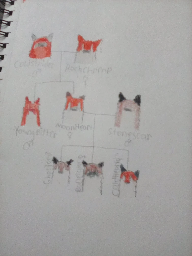 Discuss Everything About Fox Scars Wiki | Fandom