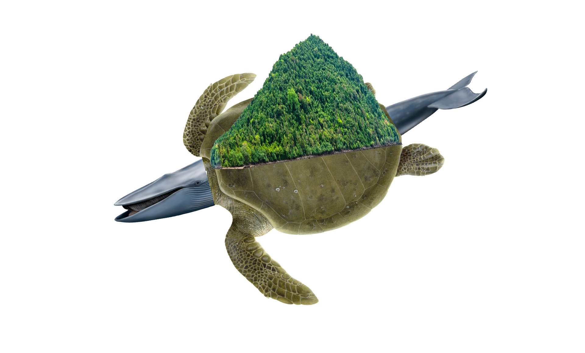 my attempt on making Aspidochelone. | Fandom