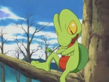 I’m doing a Ruby Nuzlocke and I need help picking the starter | Fandom