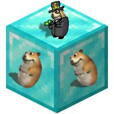 chomik idea | Fandom