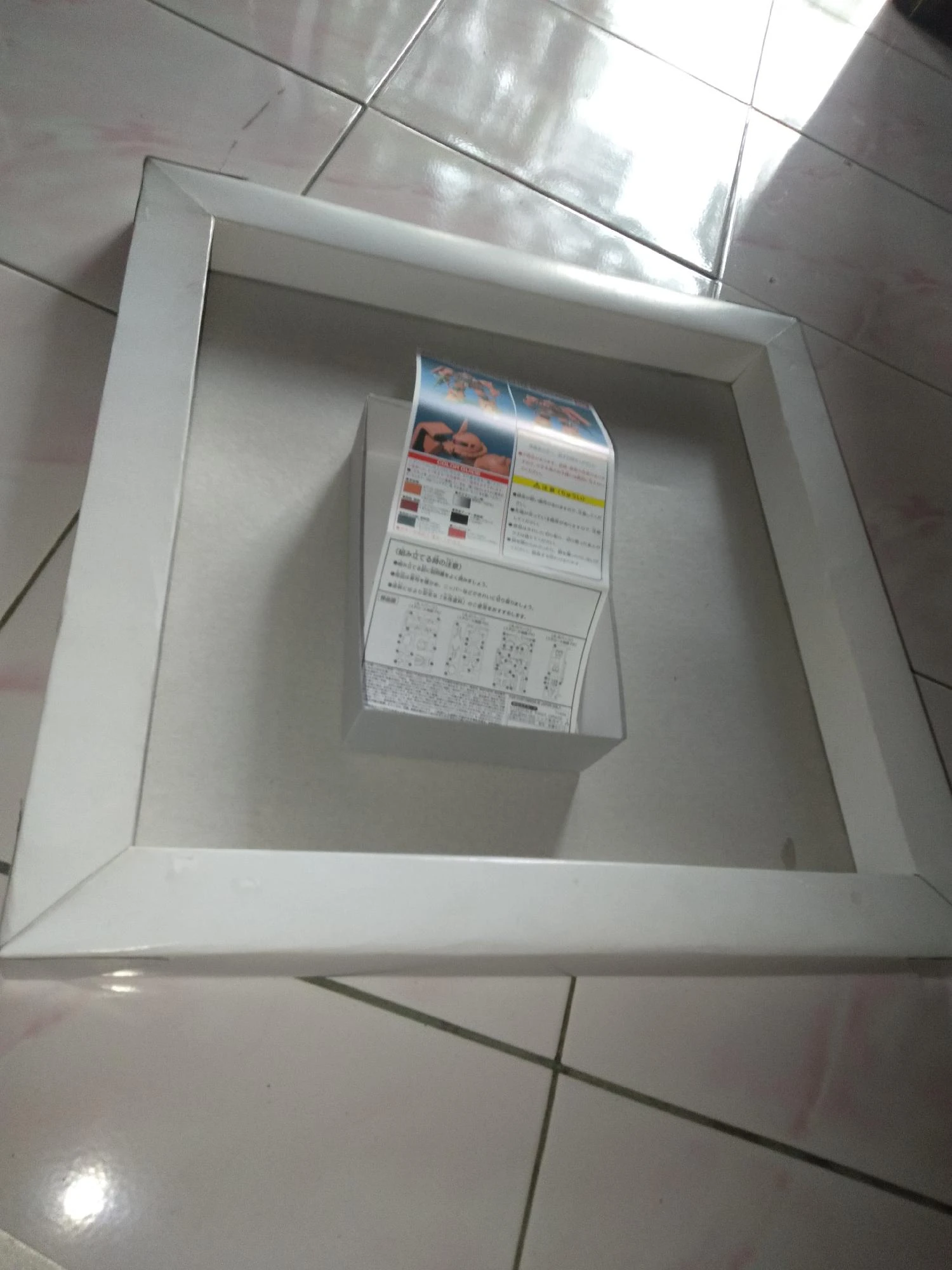 Next Project | Fandom