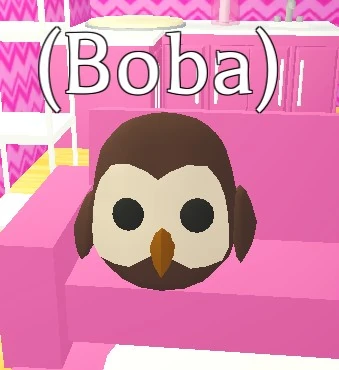 How to trigger the whole Adopt Me wiki: | Fandom