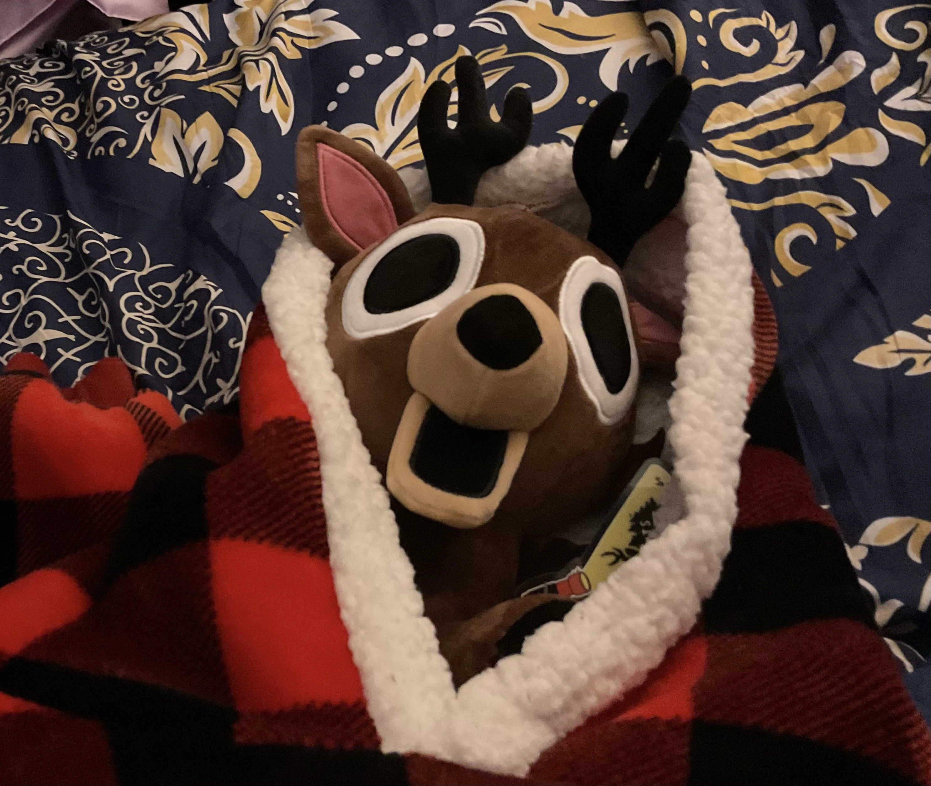 Me when I’m snug as a bug | Fandom