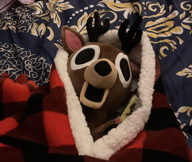 Me when I’m snug as a bug | Fandom