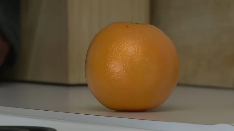 Discuss Everything About Annoying Orange Wiki | Fandom