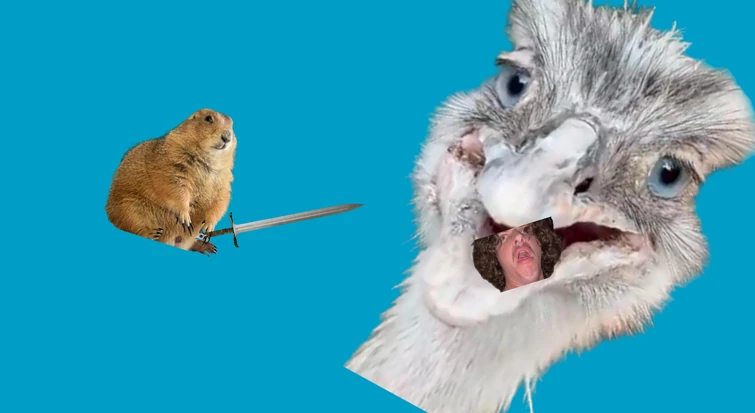 Discuss Everything About The Urban Rescue Ranch Wiki | Fandom