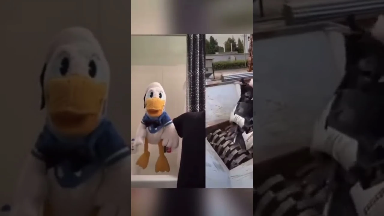 Donald Duck's motorcycle is gone. | Fandom