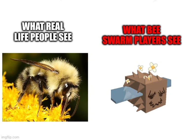 Real life vs Bee swarm | Fandom