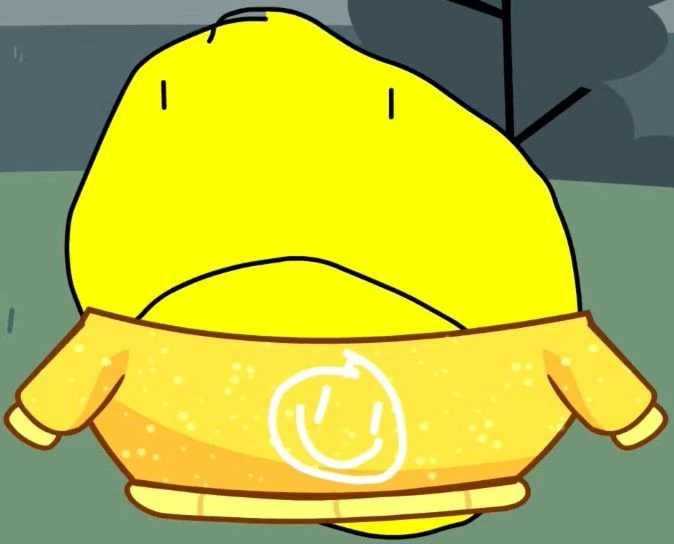 Which contestant do you think should have won BFDI/BFDIA/BFB/TPOT | Fandom