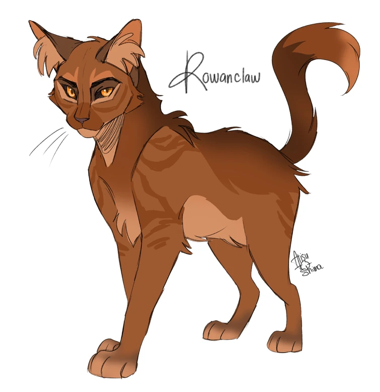 The new cats in Midnight (and the ones that changed ranks) | Fandom